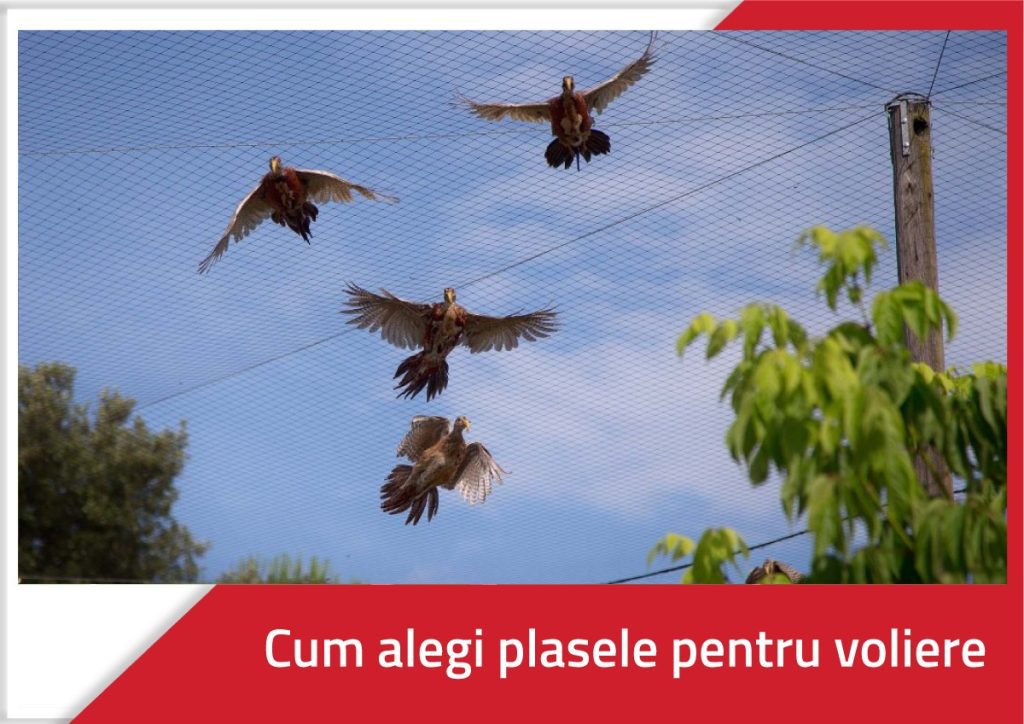 Cum alegi plasele pentru voliere? - Fabrica de plase