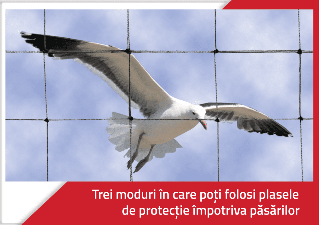 Trei moduri in care poti folosi plasele de protectie impotriva ...