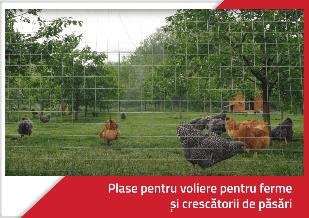 Plase pentru voliere pentru ferme de pasari - Fabrica de plase