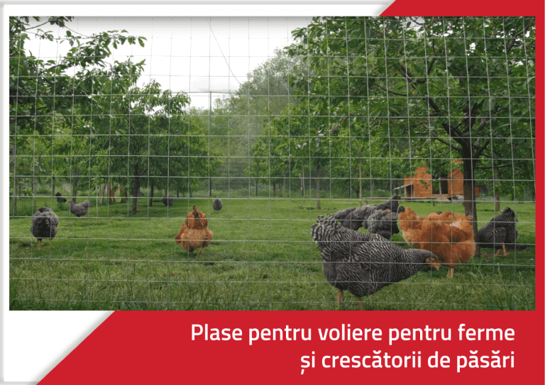 Plase pentru voliere pentru ferme de pasari - Fabrica de plase