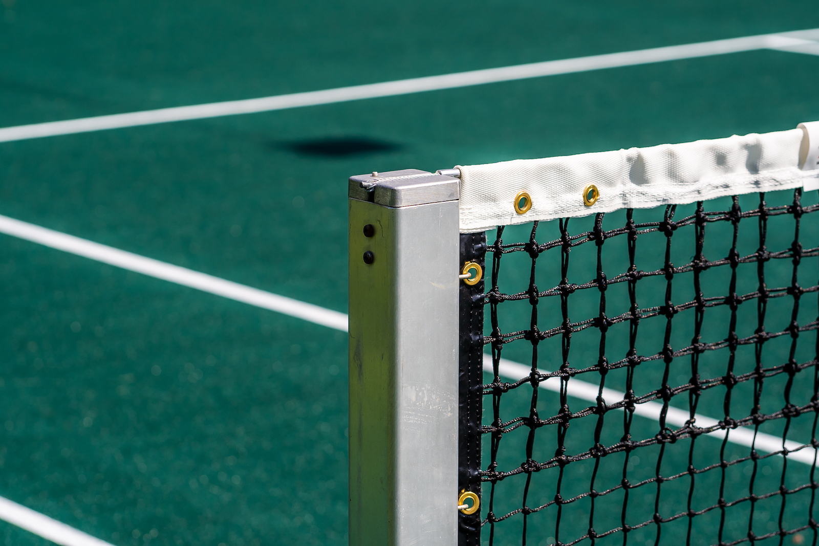 Fileu tenis (plasa innodata manual), 6 ochiuri duble, fir ⌀ 3.5 mm, art ...