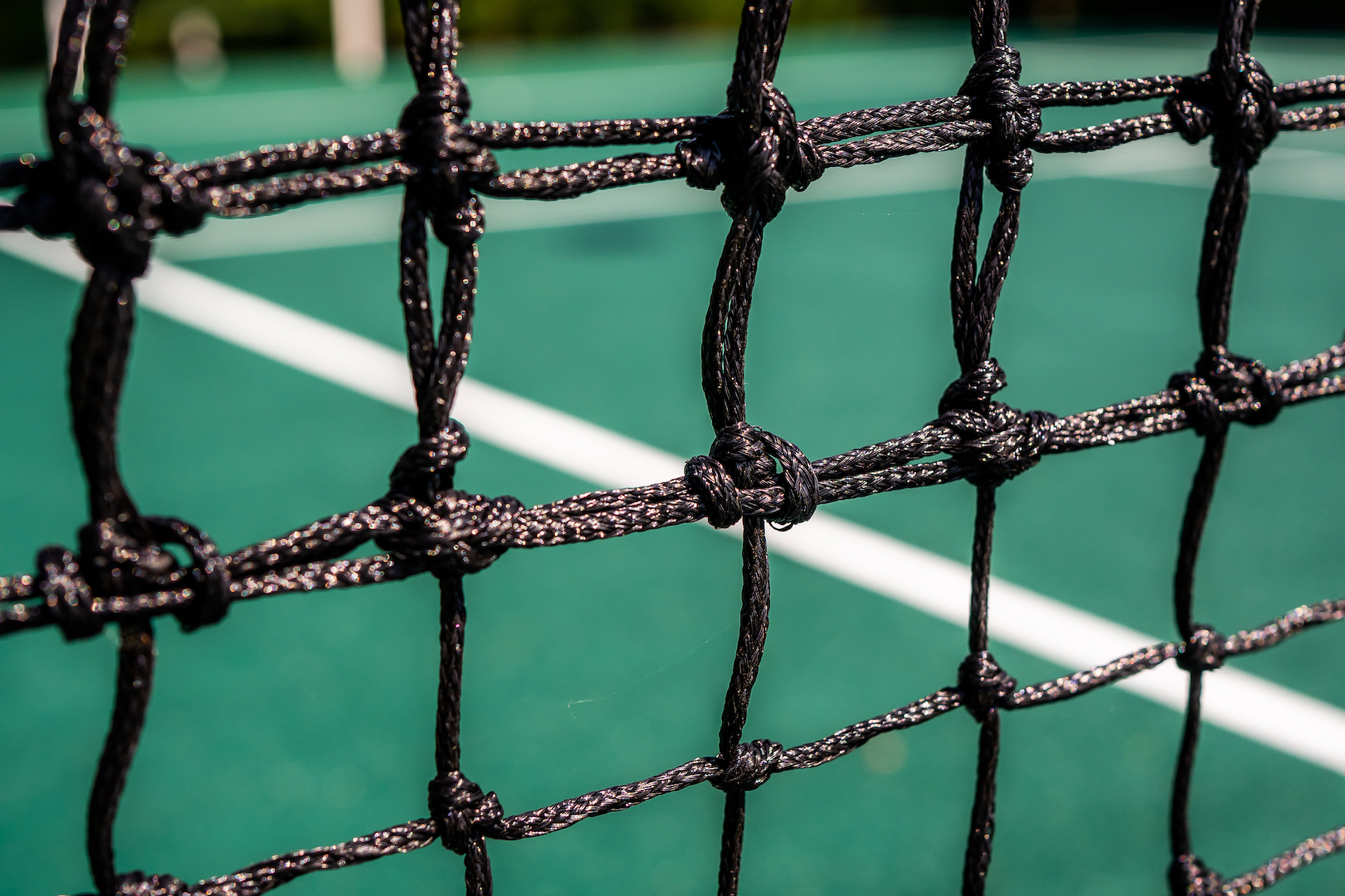 Fileu tenis (plasa innodata manual), 6 ochiuri duble, fir ⌀ 3.5 mm, art ...